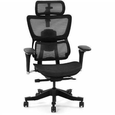 Click here for FlexiSpot Premium Ergo Max C7MAXB-M1 Chair prices