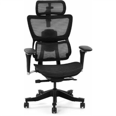 Click here for FlexiSpot Premium Ergo Max C7MAXB-M2 Chair prices